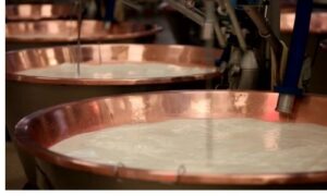 ERP for food industry | Best ERP software for food manufacturing