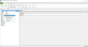 How to create a Union Report in Sage 300 using a Business Intelligence ...
