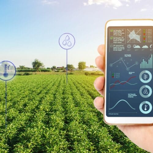 ERP for Carpet and Flooring Industry | Best ERP Provider