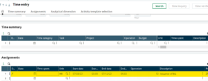Time Entry and Reporting - Sage Software