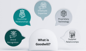 What is Goodwill Accounting? | Definition, Benefits, And Examples