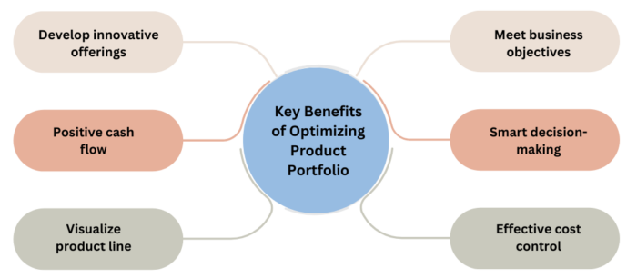 What is a Product Portfolio? | Meaning, Types And Examples
