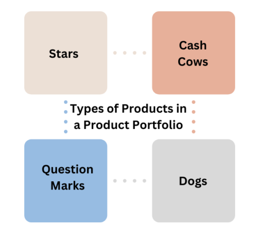 What is a Product Portfolio? | Meaning, Types And Examples